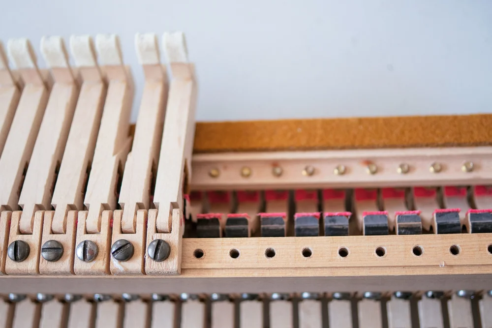 Why Are My Wurlitzer's Keys Sticking? — Tropical Fish