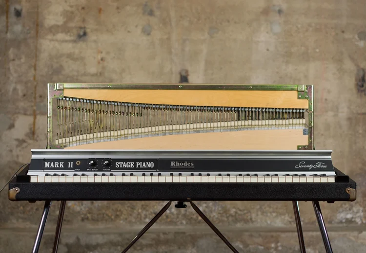 What Should Come With a Fender Rhodes Stage Piano: A List — Tropical Fish