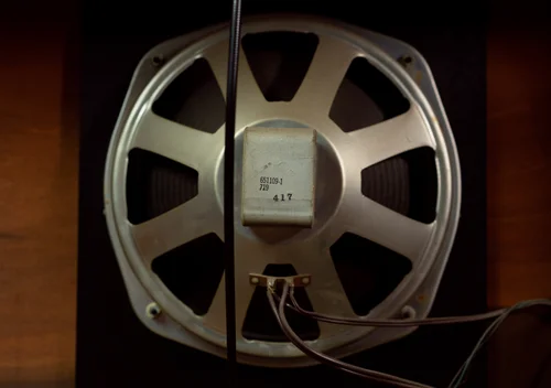 Common Tube Amp Malfunctions: My amp makes no sound. — Tropical Fish
