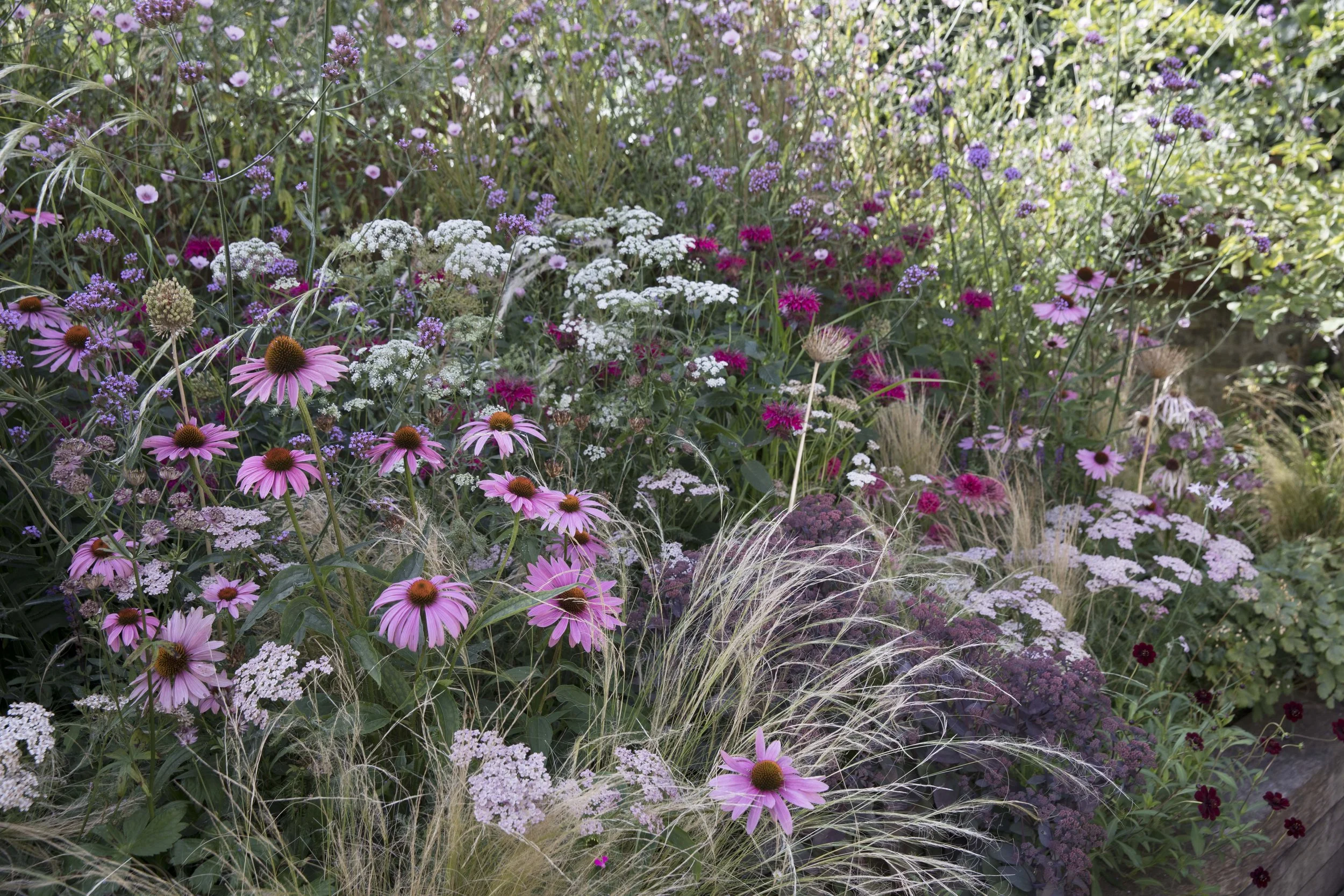 The Garden Pictorial