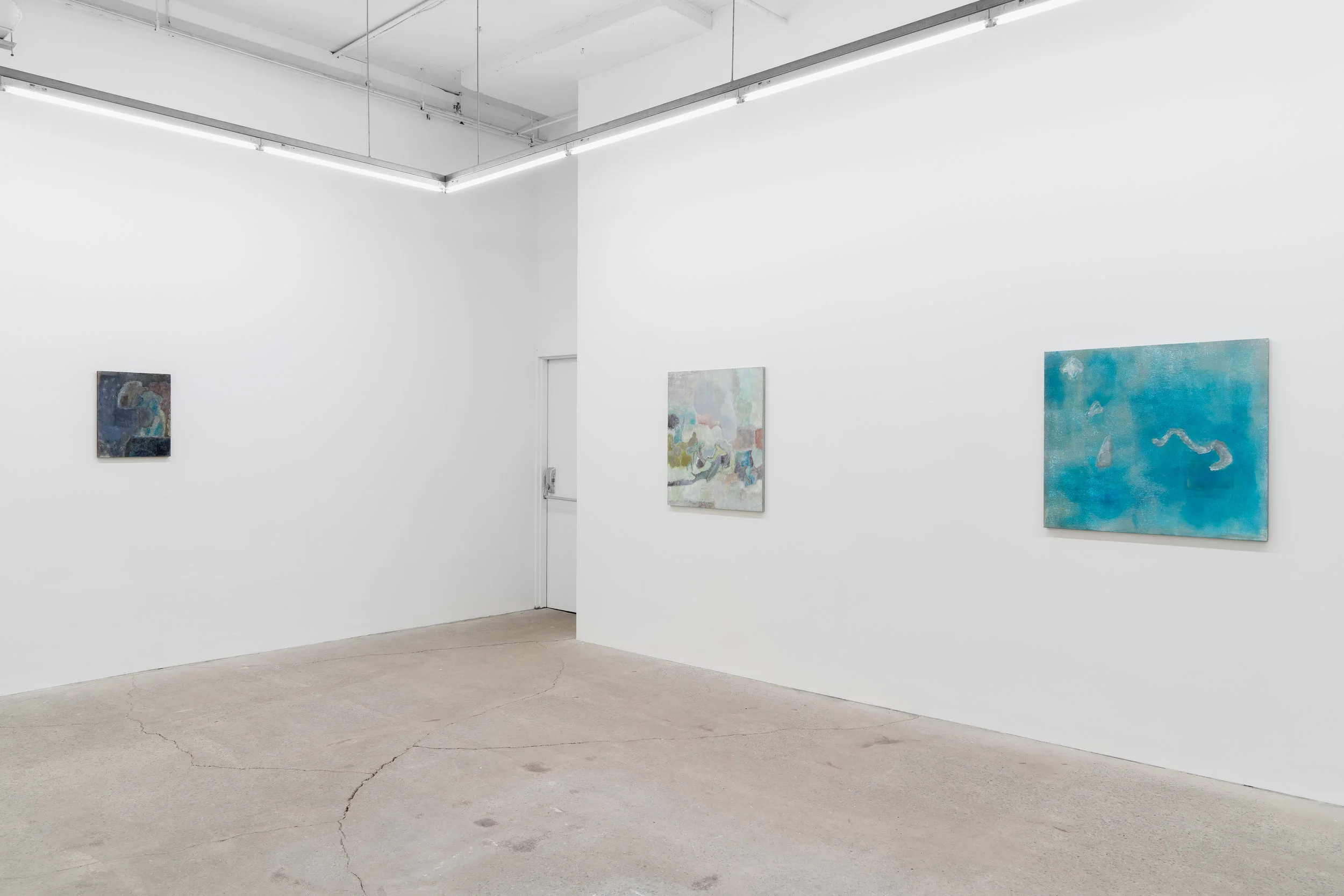 Laurence Pilon - Spongieuses - Peintures Contemporaines — Galerie Nicolas Robert