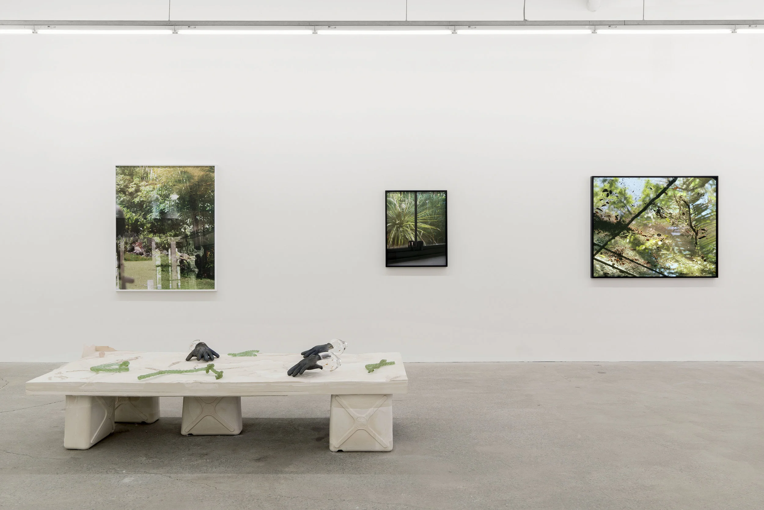 Lorna Bauer — Galerie Nicolas Robert