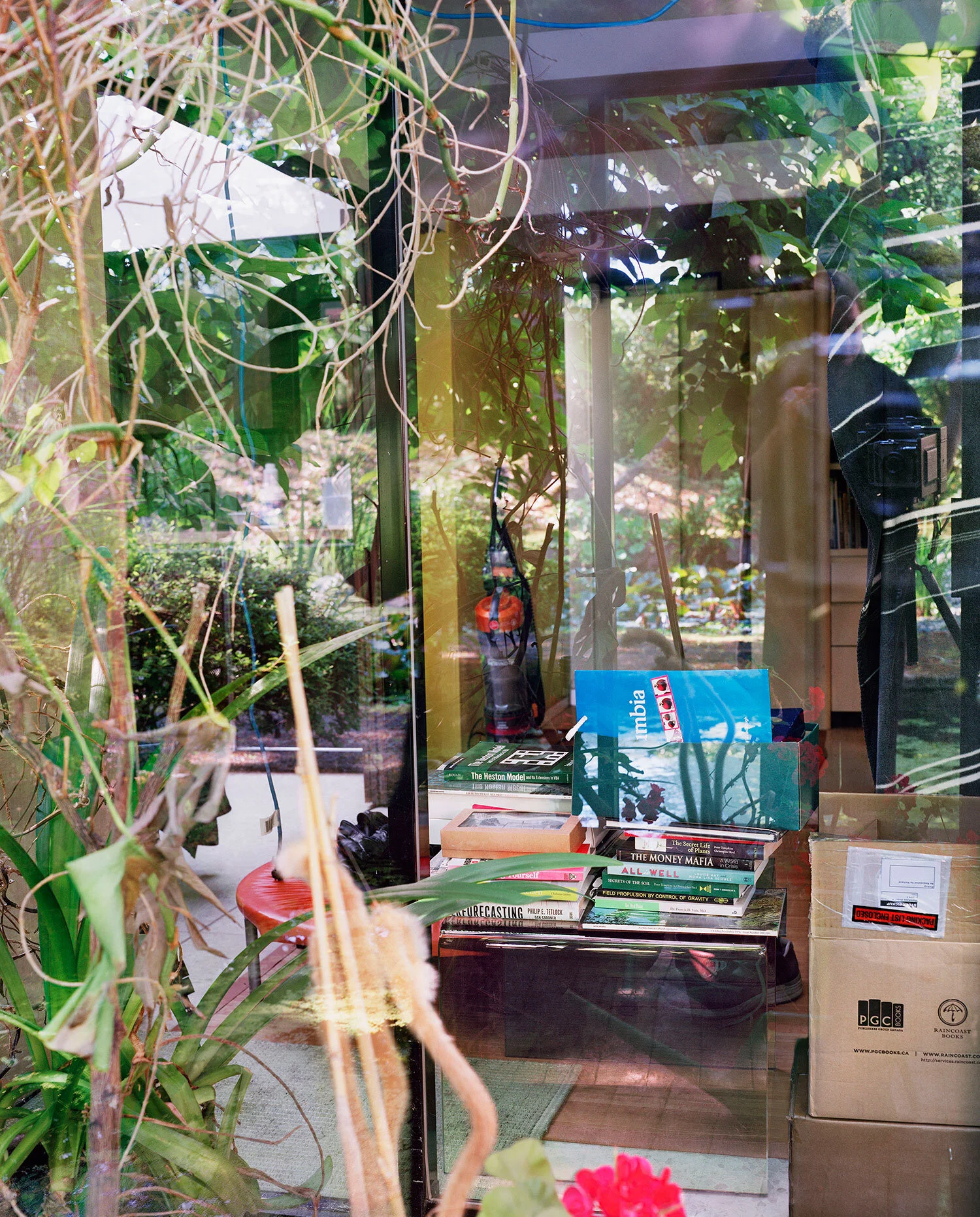 Lorna Bauer — Galerie Nicolas Robert