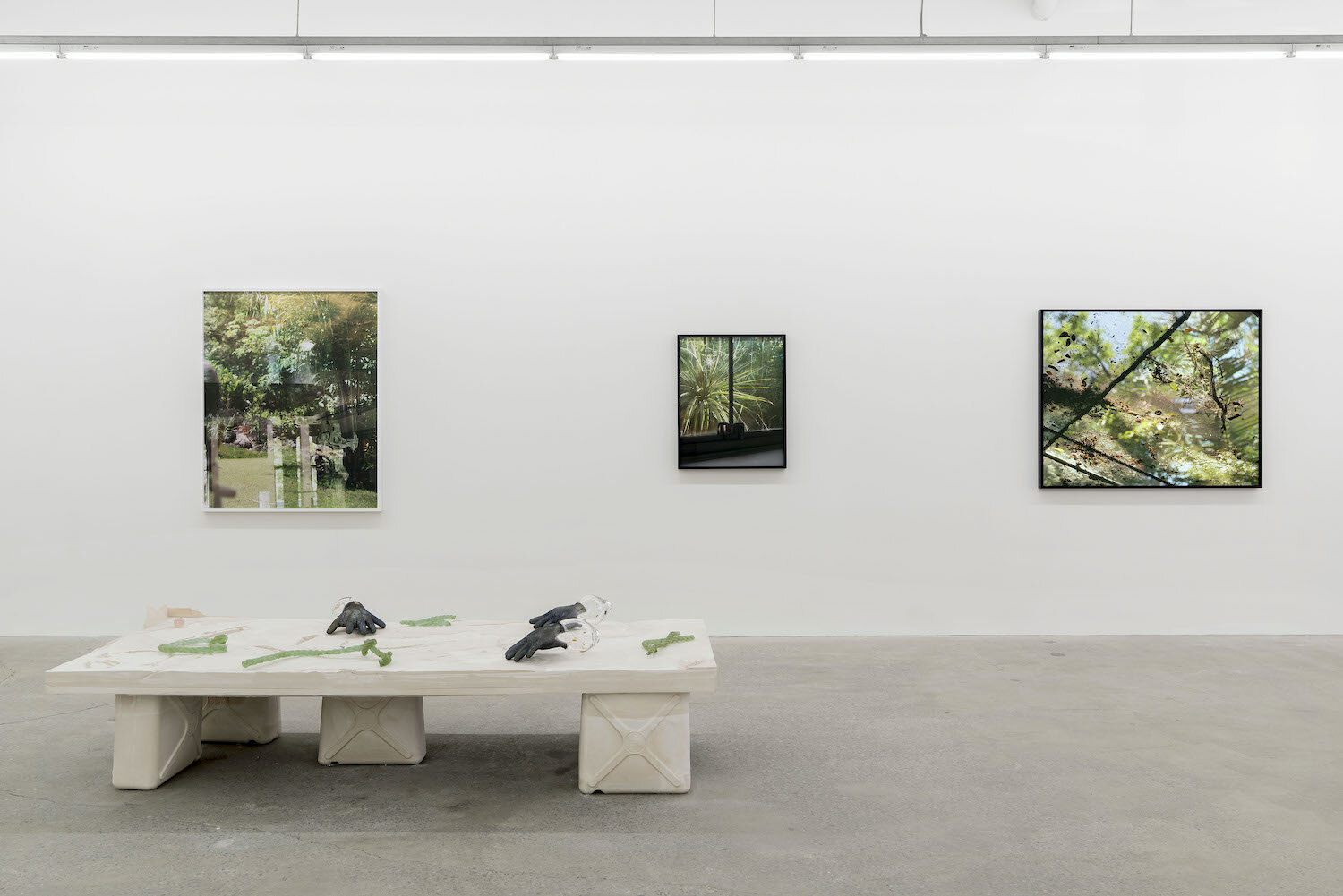 Lorna Bauer | Photographie et Sculpture Contemporaine — Galerie Nicolas ...