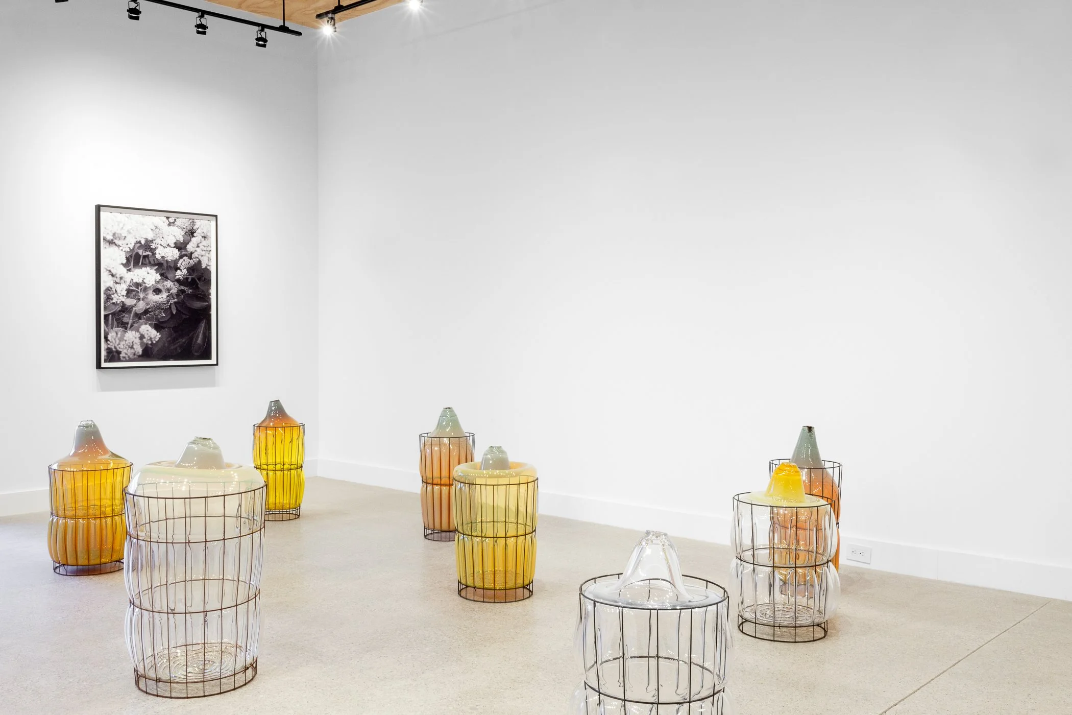 Lorna Bauer — Galerie Nicolas Robert