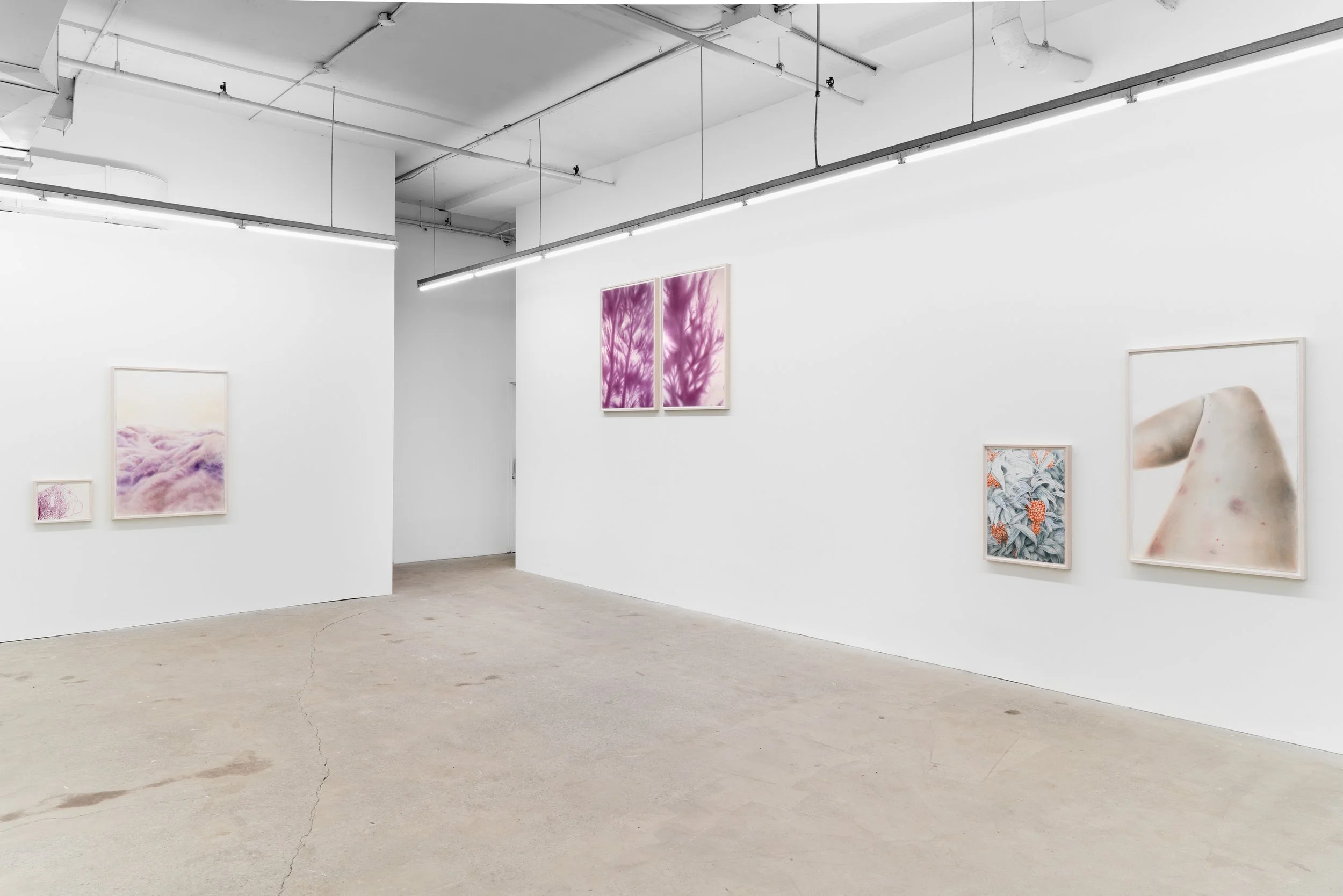 Galerie Nicolas Robert