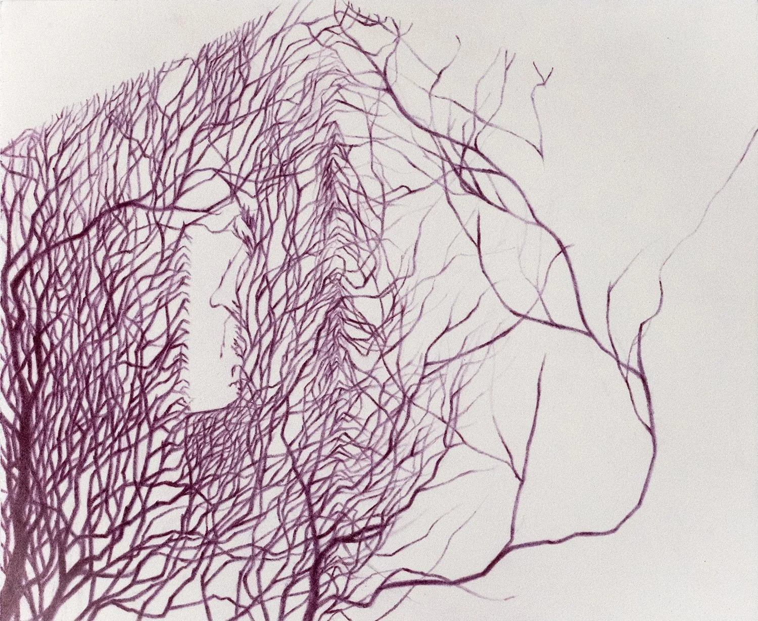 Andréanne Godin | Dessin, Paysages et Perception Spatiale — Galerie ...