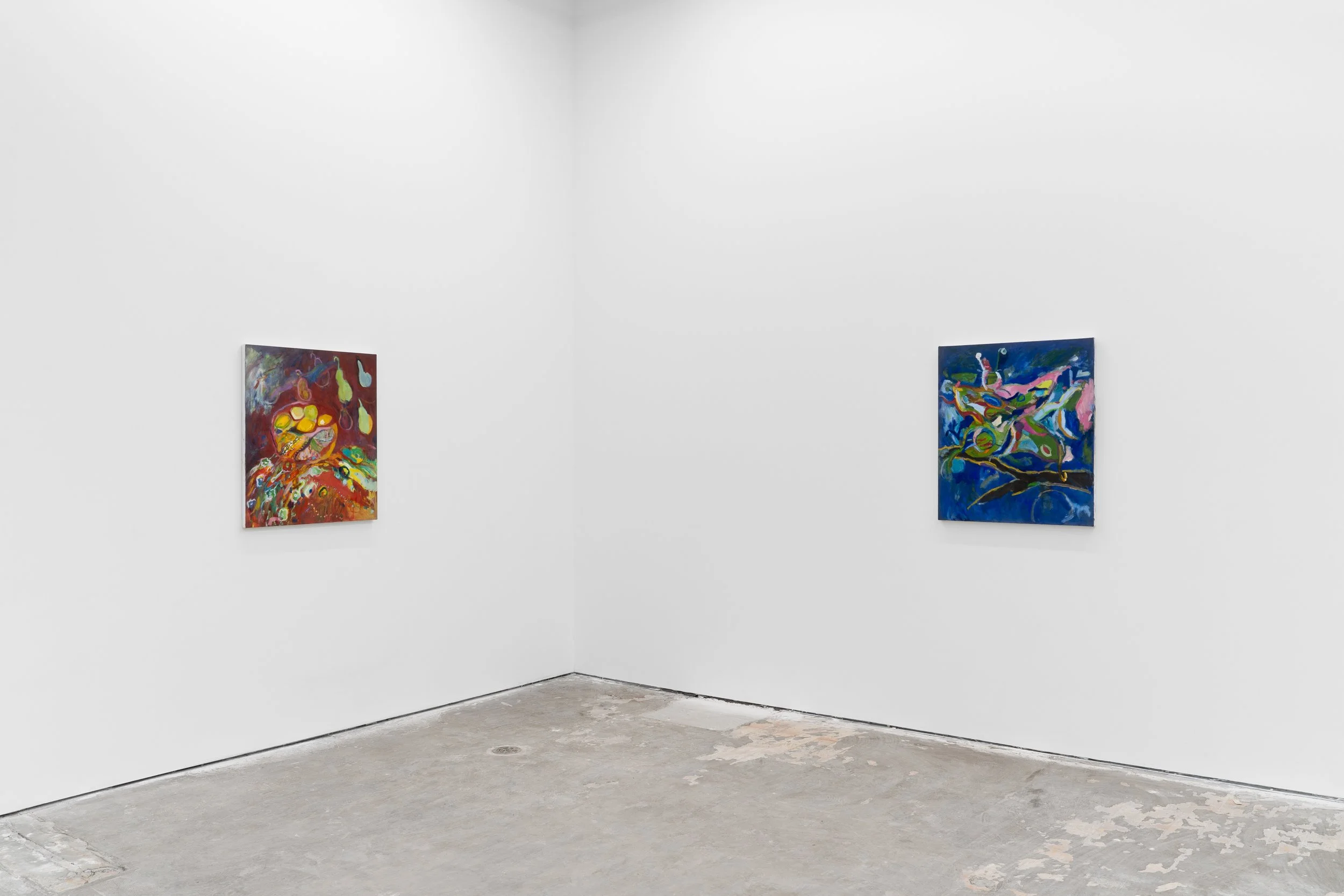Adrianne Rubenstein - Auras — Galerie Nicolas Robert