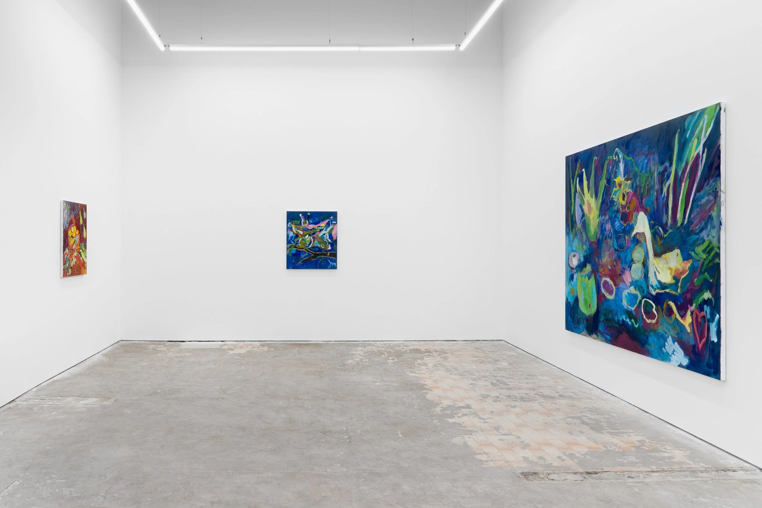 Adrianne Rubenstein - Auras — Galerie Nicolas Robert