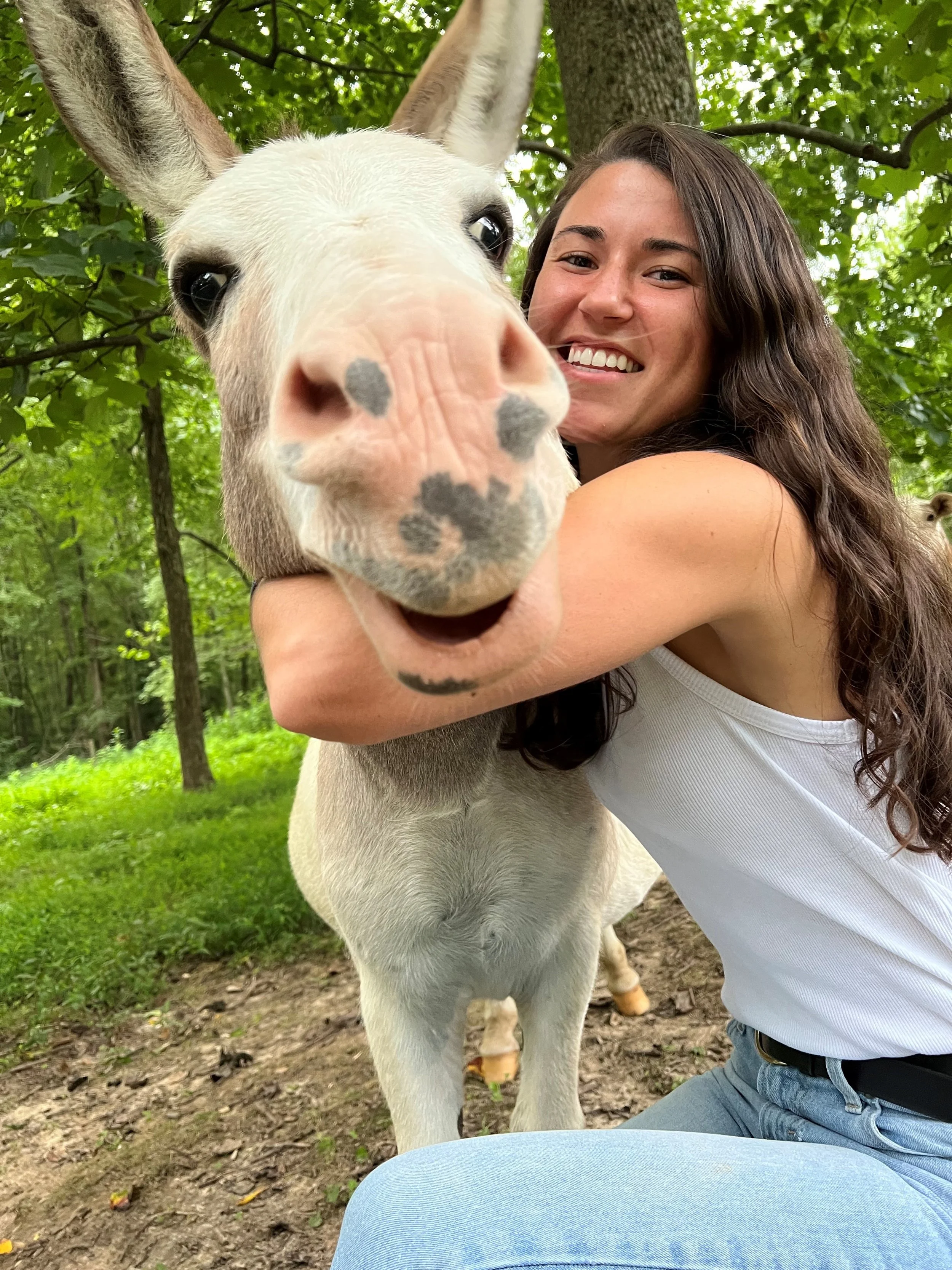 The Vineyards at Dodon