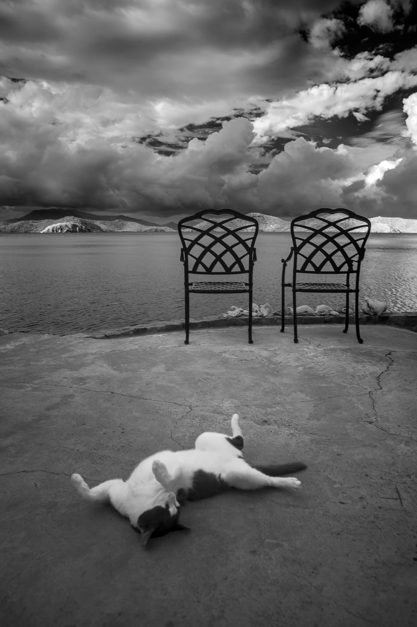 jeremy barnard photography