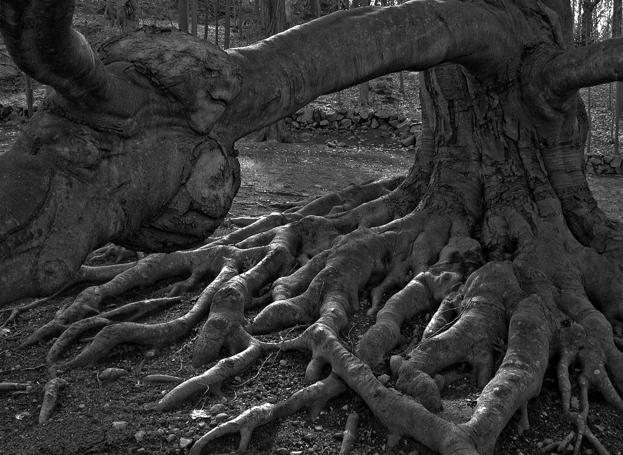 Faces — jeremy barnard photography