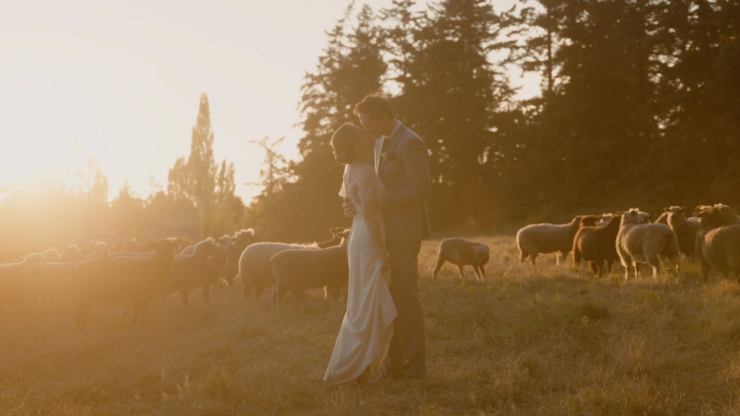 First Person Pictures - Seattle Wedding Videographer