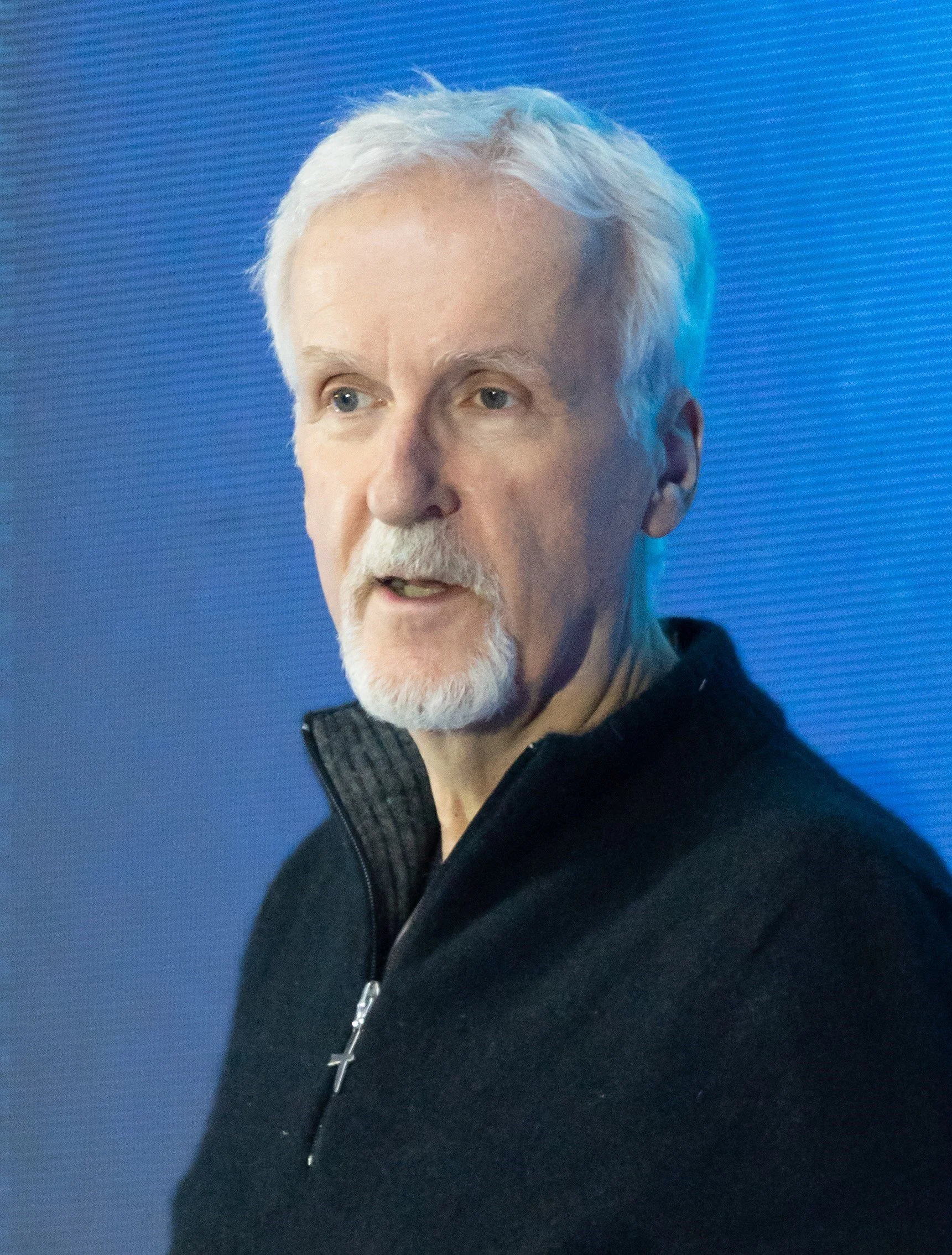 James Cameron's Ultimatum: If Avatar Fire and Ash Bombs, He's Done ...