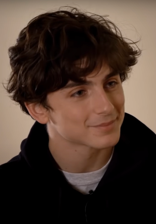 Timothée Chalamet: La Trayectoria de un Joven Talento en Hollywood — TheaterEars