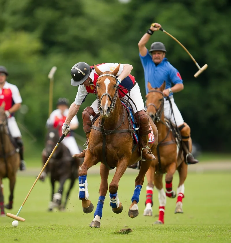 Playing Rules — Ham Polo Club