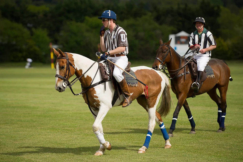 Playing Rules — Ham Polo Club
