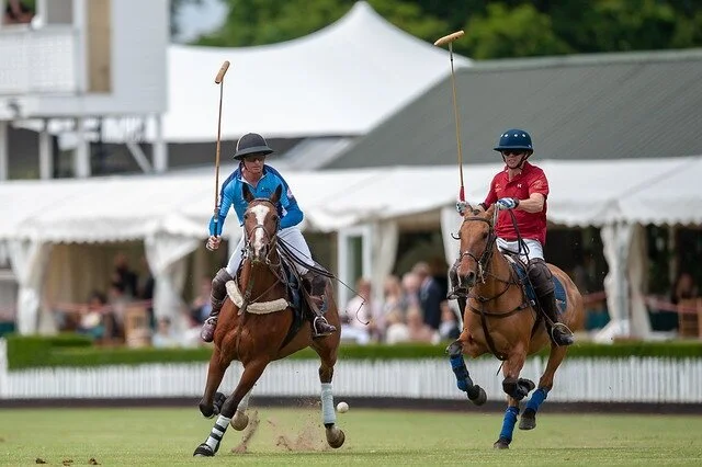 Memberships 2023 — Ham Polo Club