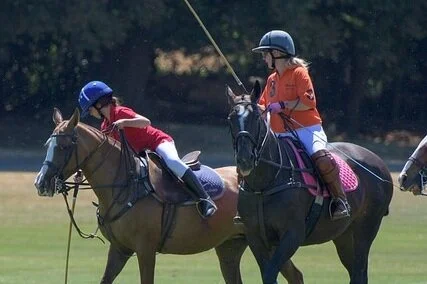 Memberships 2023 — Ham Polo Club