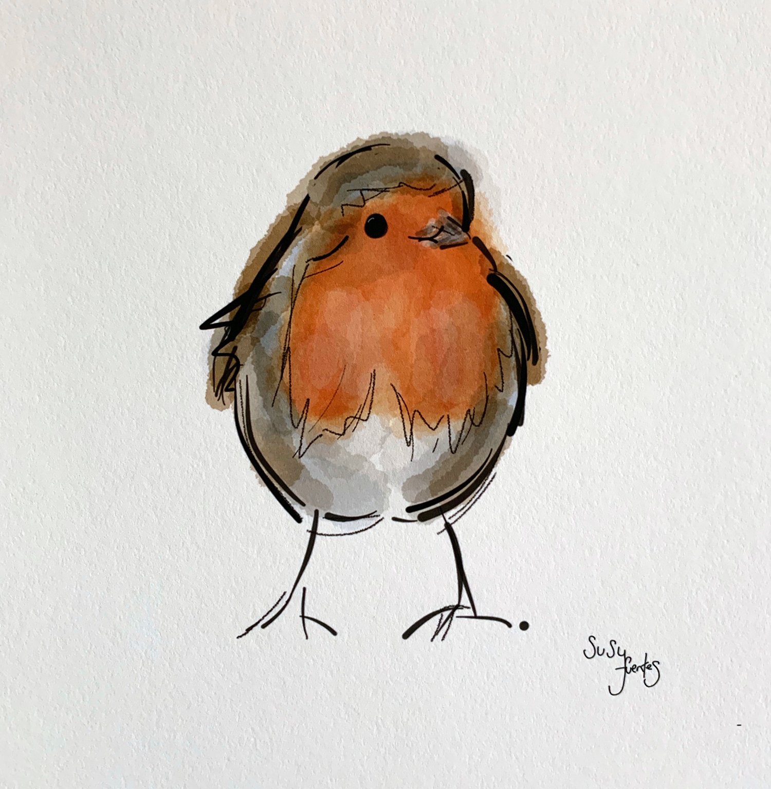 Robin Giclee Print Mounted - Various Sizes — SUSY FUENTES ARTIST