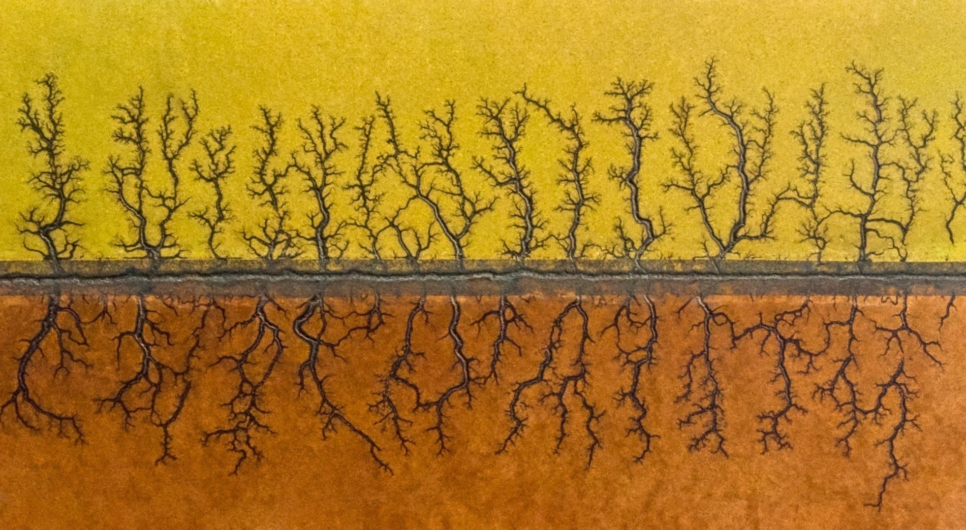 Art — BeauBois Studios - Eric Beauchamp