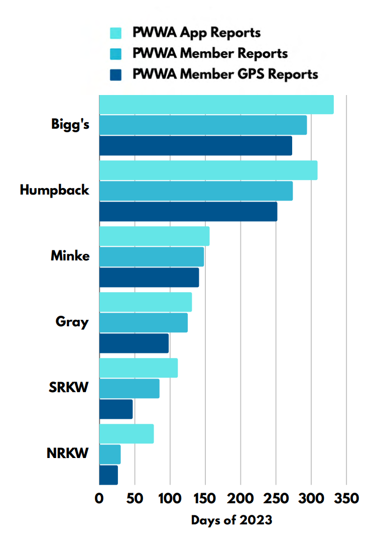 Sightings & Sentinel Actions Reports — Pacific Whale Watch Association