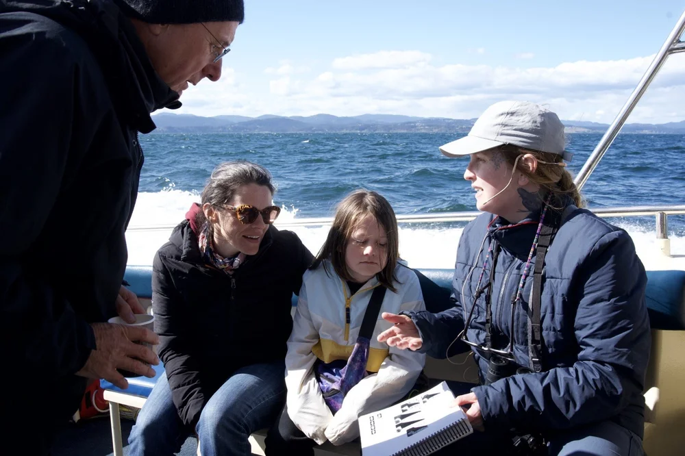 Whale Identification — Pacific Whale Watch Association