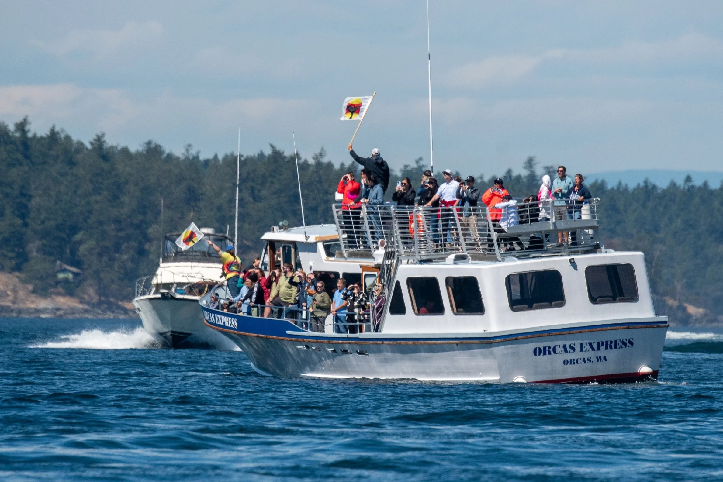 Whale Watching Guidelines — Pacific Whale Watch Association