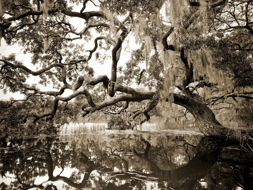 Ben Ham Images — The Collections