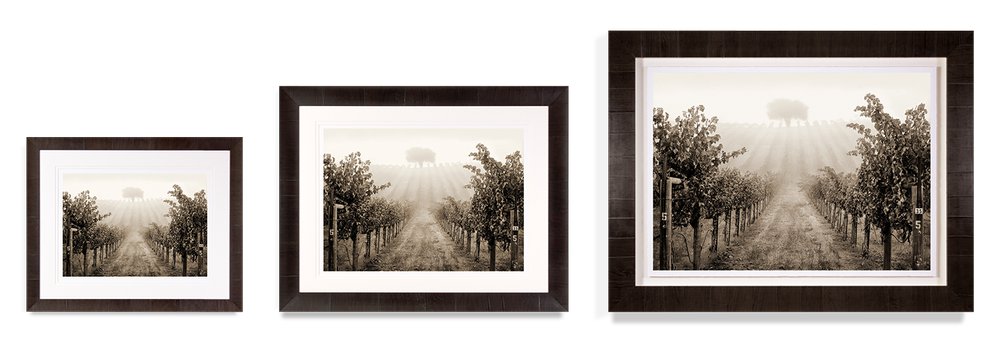 Ben Ham Images — The Framing
