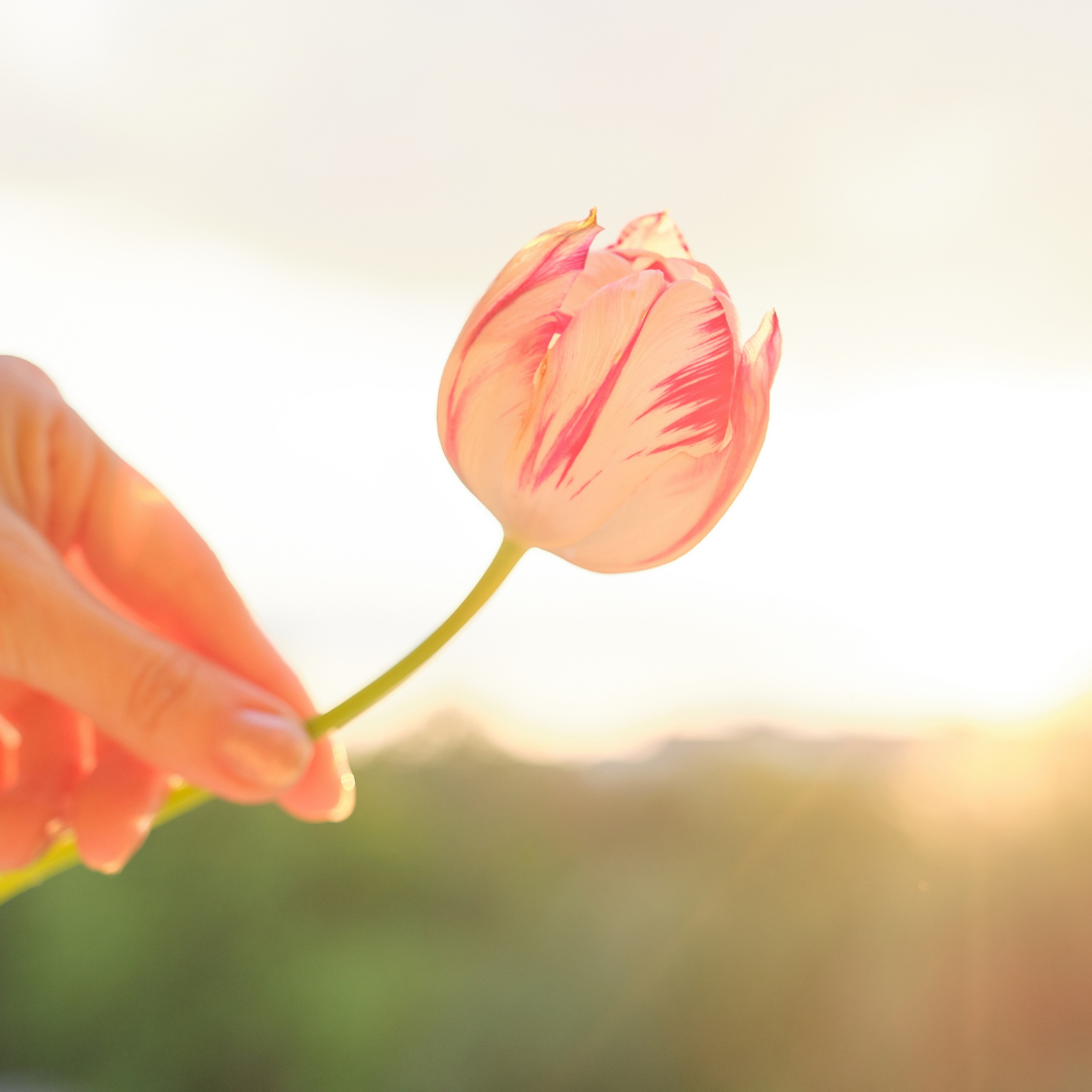 Suffering vs. Self-Love — The Belief Coach