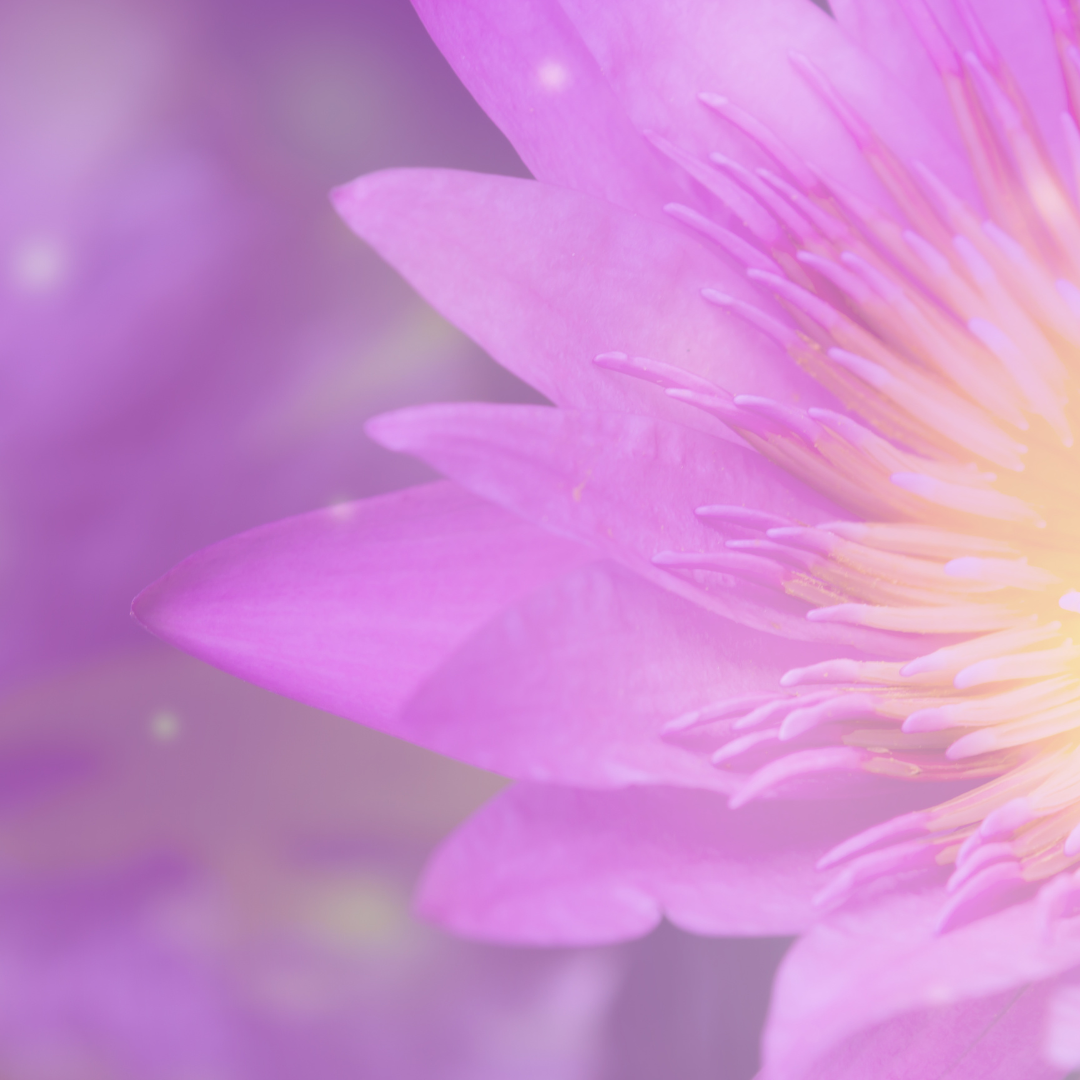 Suffering vs. Self-Love — The Belief Coach