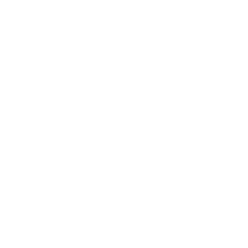 Area 41 Pizza Co.
