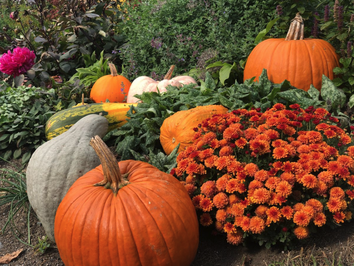 The Historic Pumpkin — Woodstock History Center