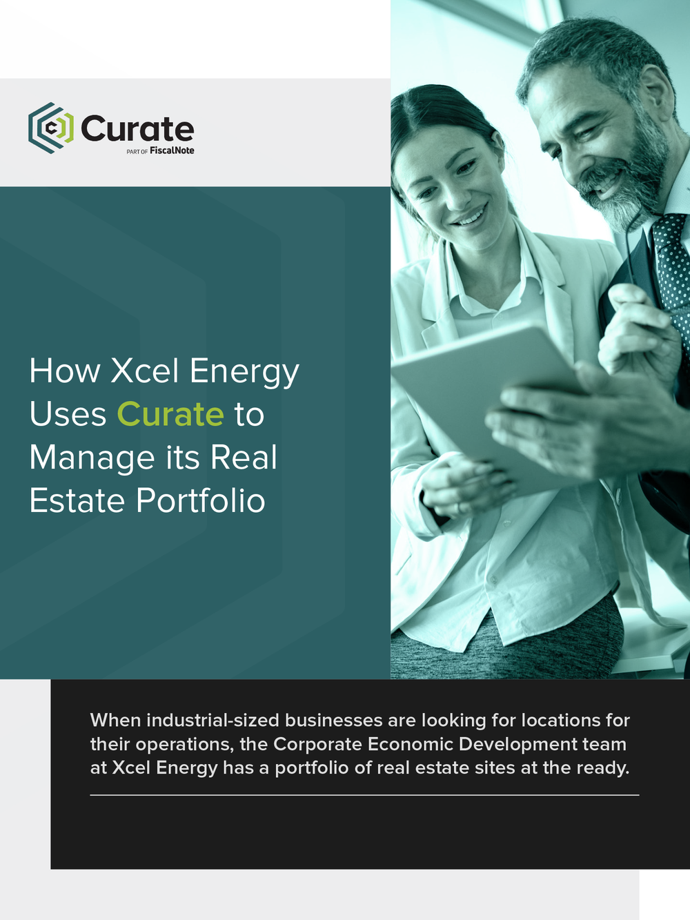 Electric Utility Case Study — Curate