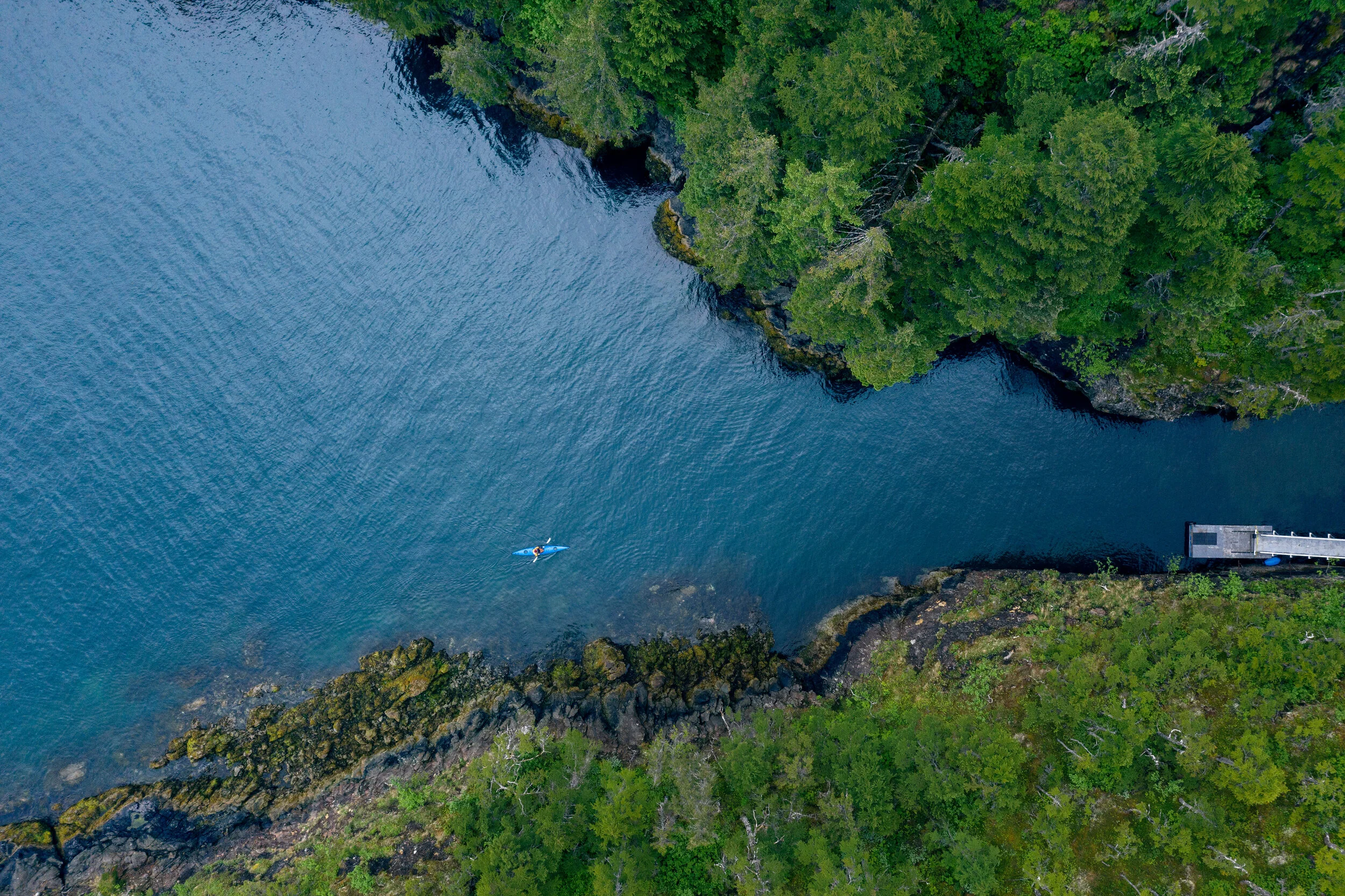 Alaska Kayaking Vacations in Seward & Resurrection Bay AK by Shearwater ...