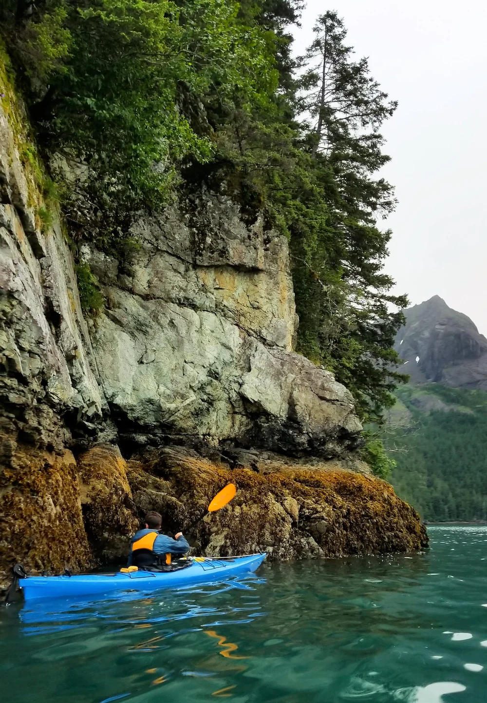 Sea Kayaking at Shearwater Cove in Resurrection Bay, Kenai Fjords ...