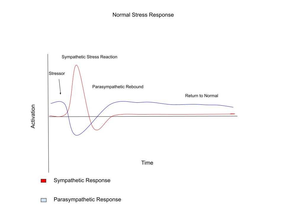 Emotional Retraining After Trauma — Stephanie Attwater