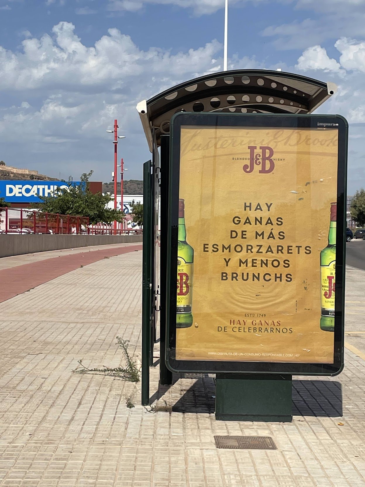 How does a transcreation professional work?