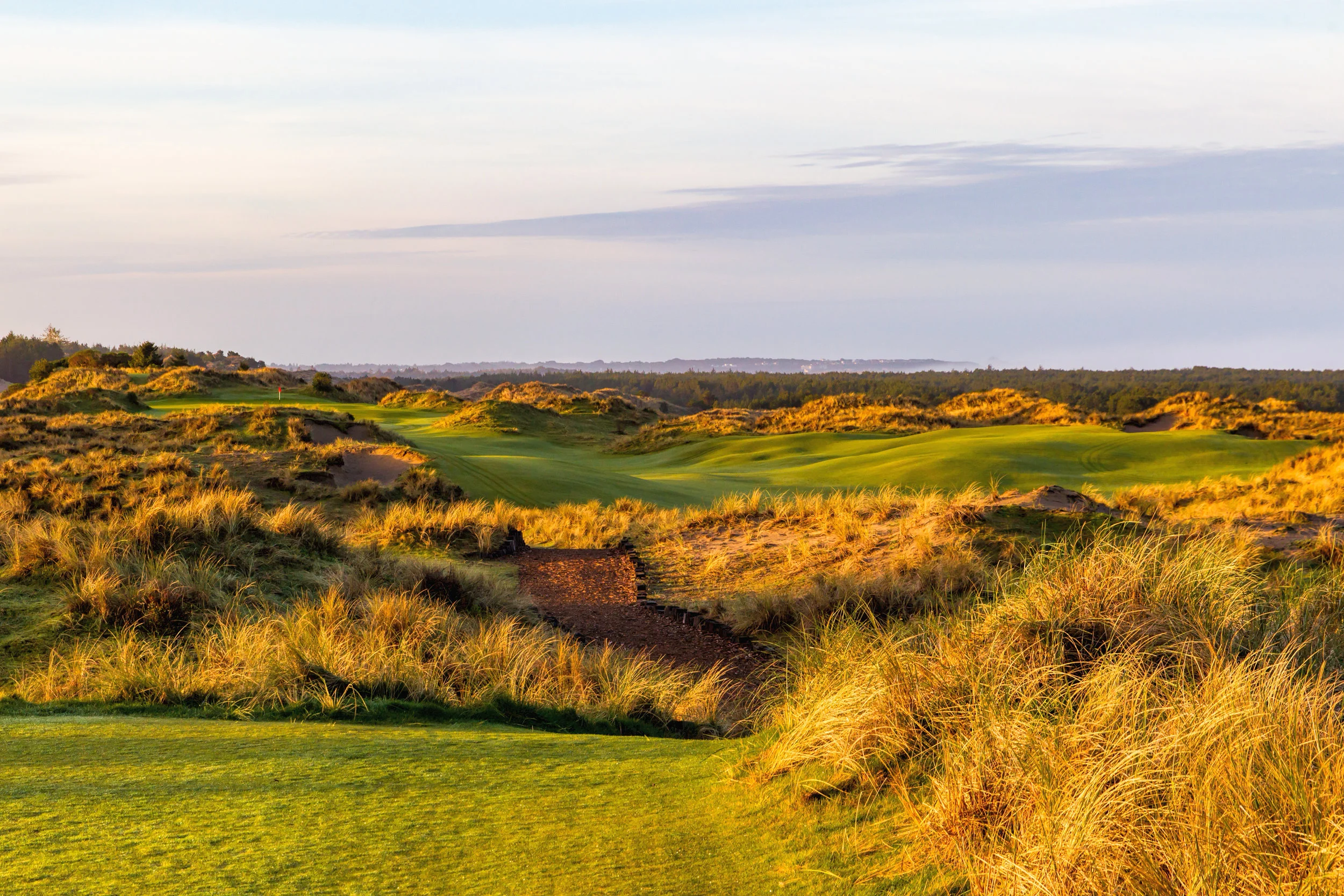 St Andrews Golf Widescreen