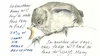 The Backyard Bird Chronicles / Amy Tan — The Invisible Dog Art Center