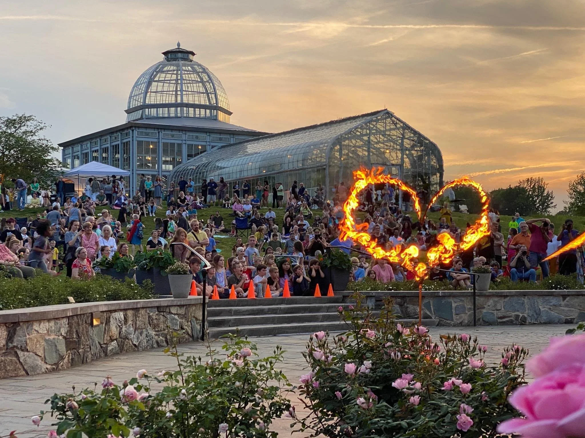 Party Liberation Foundation - Fire Performers, Artists, DJs, VJs ...