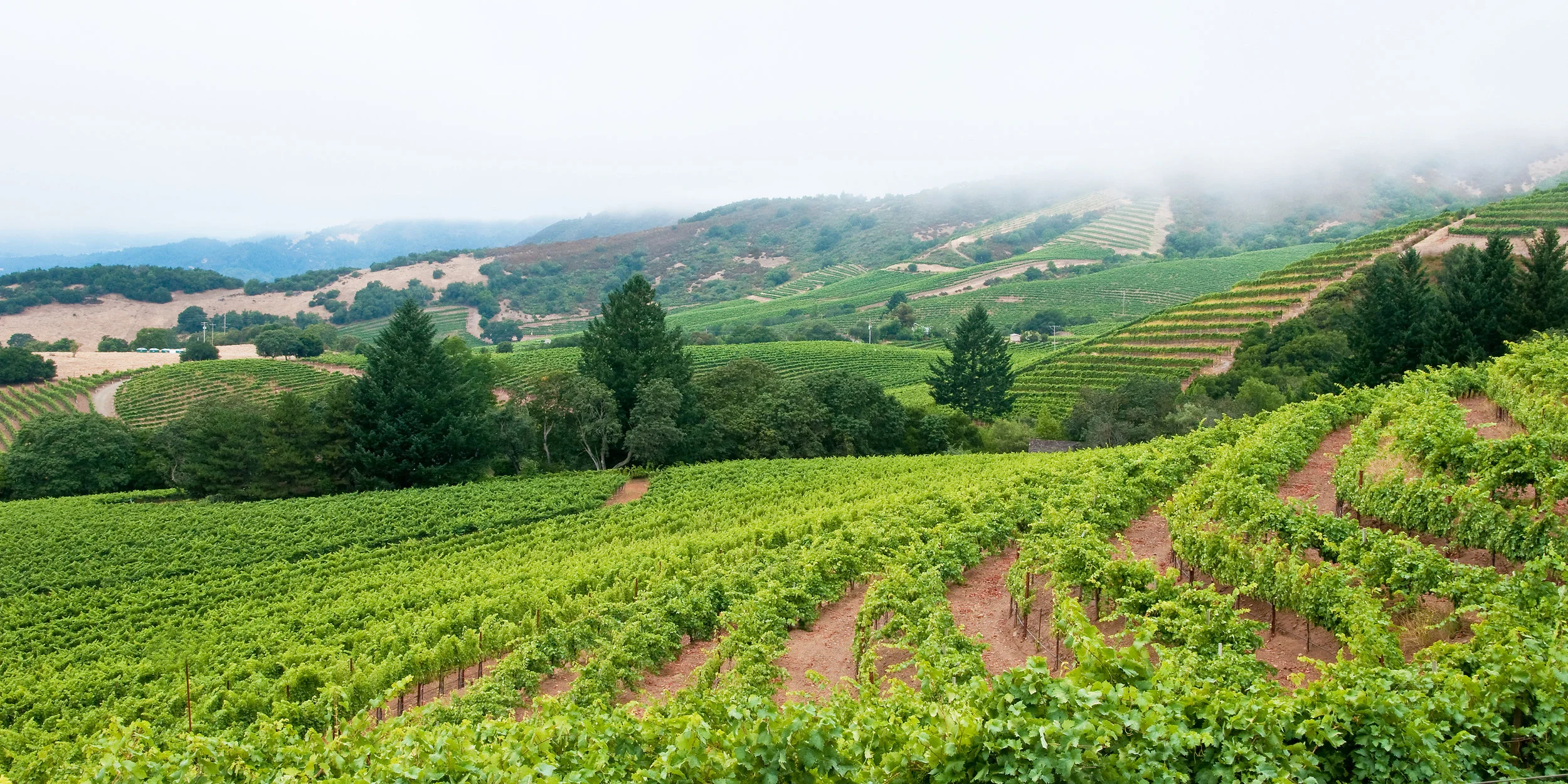 Santa Rosa Nephrology Associates