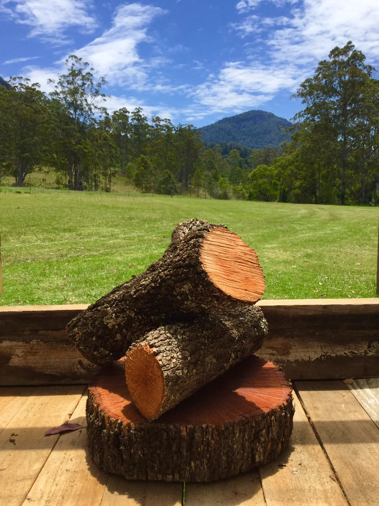 CG Co. — Smoking Timbers