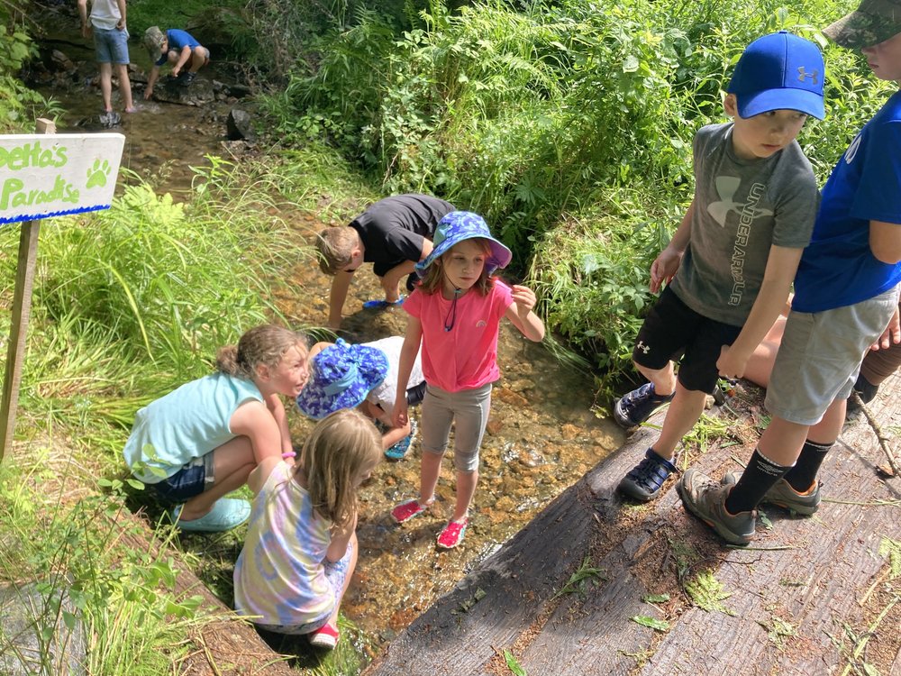 Summer Camps — Taproot