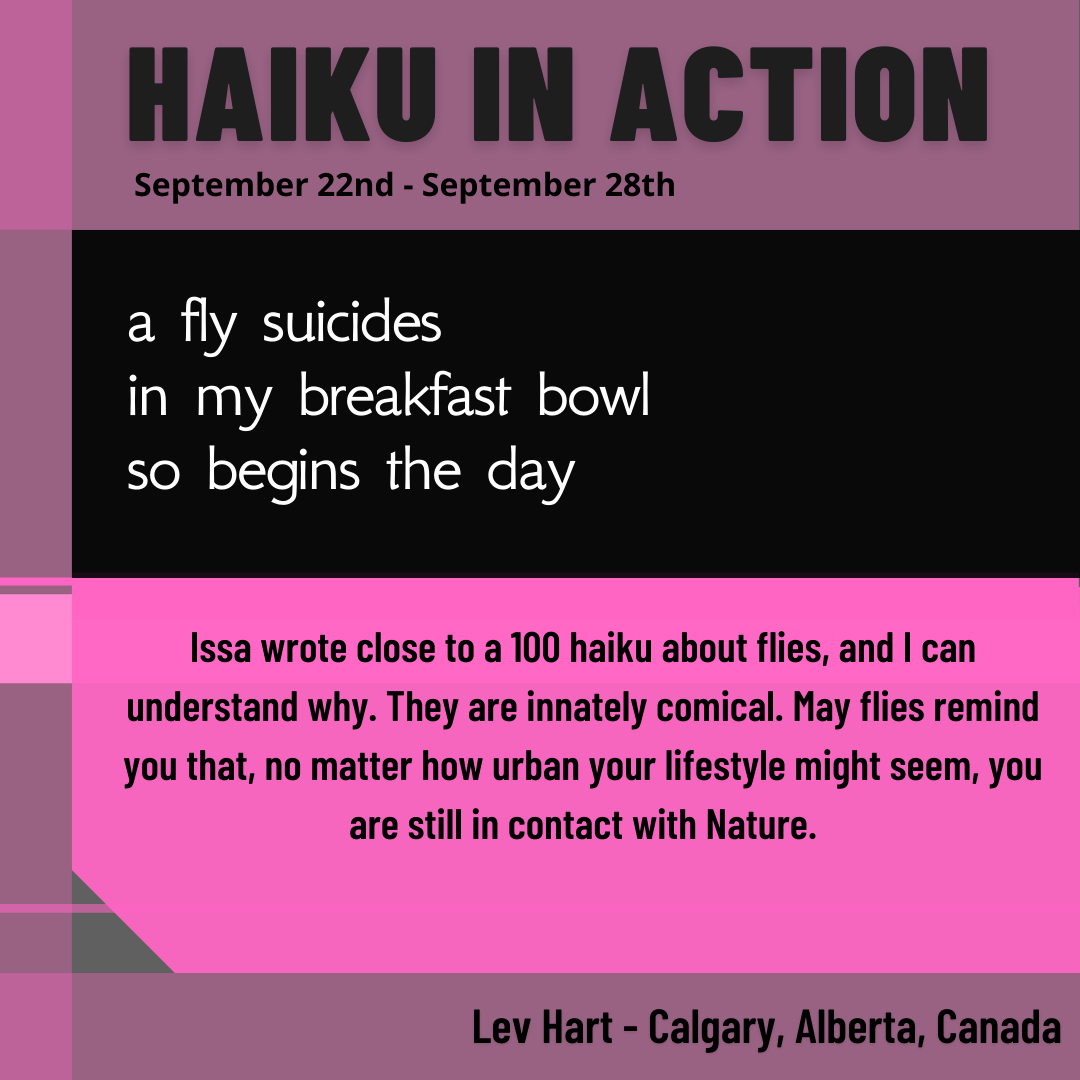 Haiku in Action Week 39 — Nick Virgilio Haiku Association