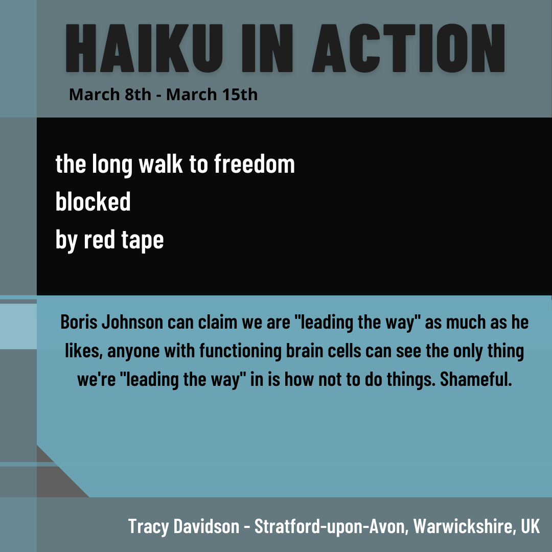 Nick Virgilio Haiku Association