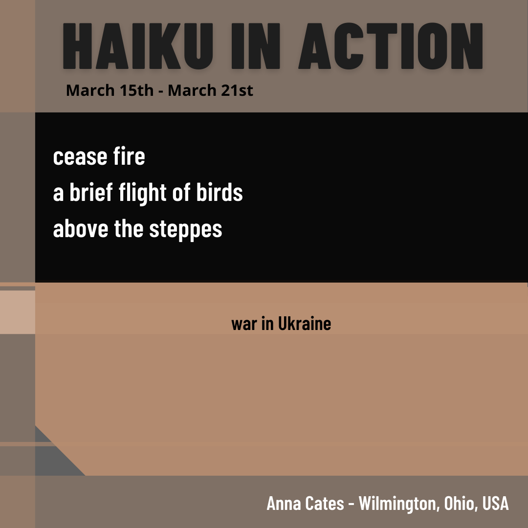 Nick Virgilio Haiku Association