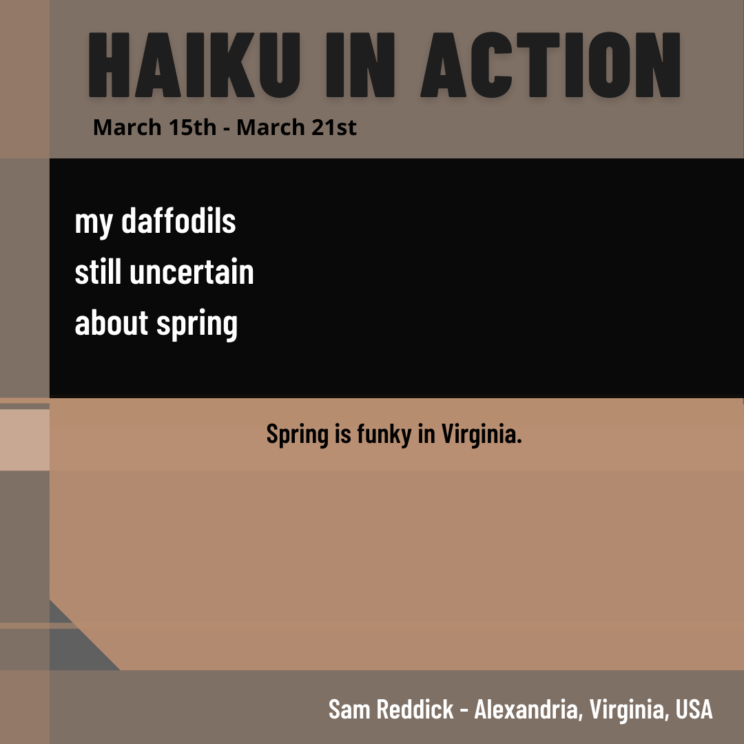 Nick Virgilio Haiku Association