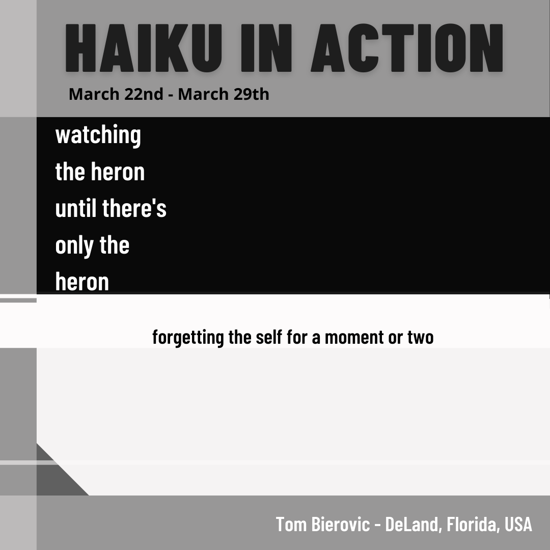 Nick Virgilio Haiku Association